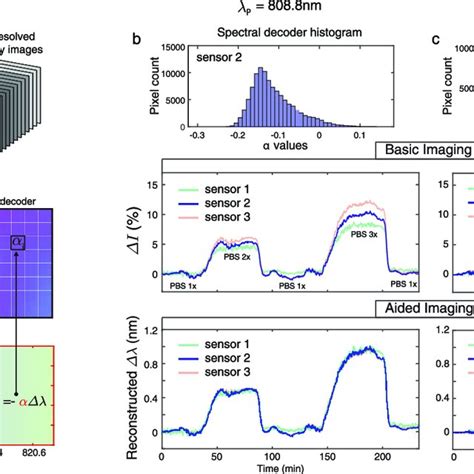 Hatice Altug Professor Associate Phd In Applied Physics École
