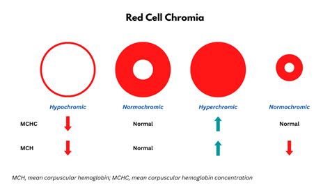 Red Cell Staining Color • The Blood Project