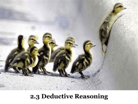 Deductive Reasoning Law Of Detachment Syllogism