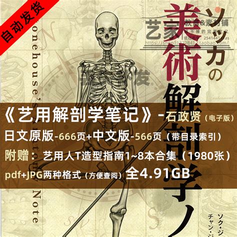 美术艺用人体结构骨骼肌肉解剖绘画电子档笔记扫描图片素材石正贤虎窝淘