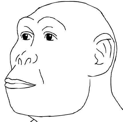 Ciencias Para El Mundo Contemporáneo Homo Habilis