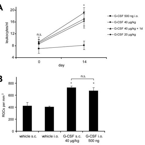 Topical Application By Intravitreal Injection Is Sufficient For G Csf