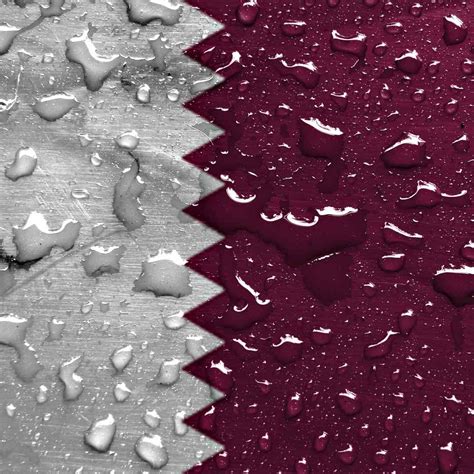 Environmental Monitoring In Qatar Safeguarding Nature S Oasis WAEY