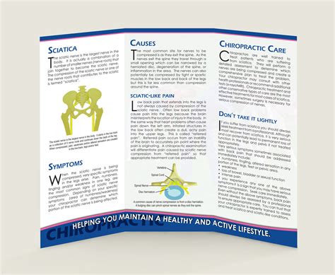 Beautiful Sciatica Chiropractic Brochure 11 95 50 Pack
