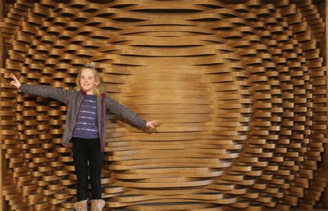 Hybrid Acoustic Diffuser Rdacoustic Cz