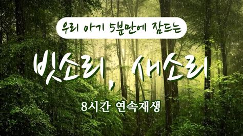 🌳숲 속의 빗소리 새소리 8시간 우리 아기 5분만에 잠드는 자연의 백색소음 자장가 화이트노이즈 휴식 명상