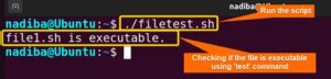 Bash Test Operations In If Statement LinuxSimply