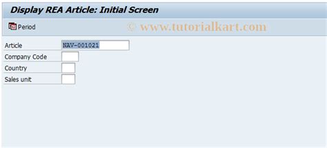 J L SAP Tcode Display REA Article Initial Screen