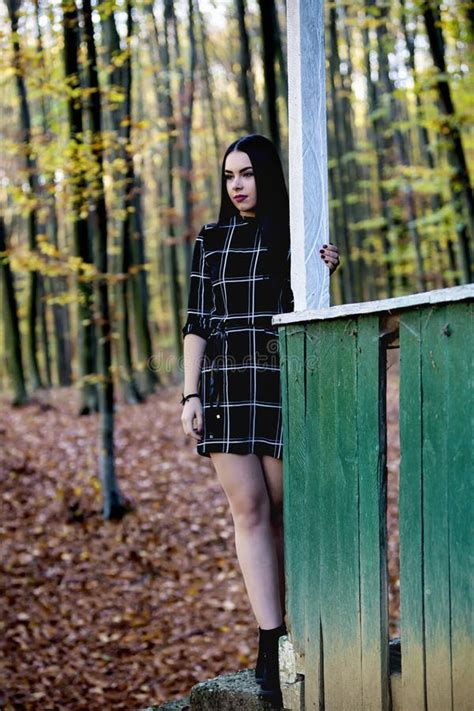 Picture With A Beautiful Brunette In The Autumn Forest Near To A Stock