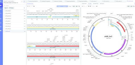 Starting An Open Synbio Project On Benchling For Learning The Basics