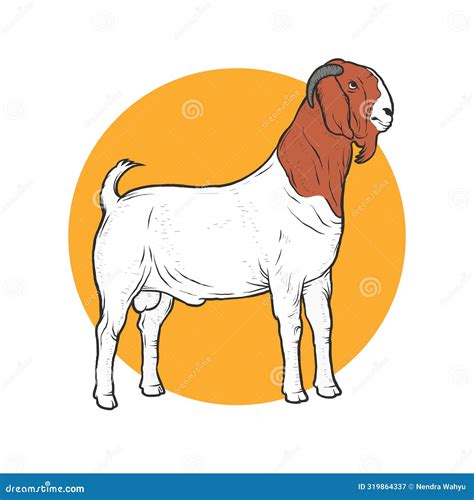 Vector Illustration Of Male Boer Goat 319864337