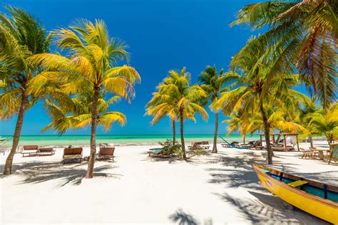 Que Voir à Holbox Les Incontournables à Découvrir Tourlane