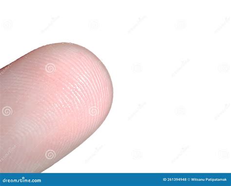 Closeup Of Fingerprint Texture Of Finger Skin Macro Photography