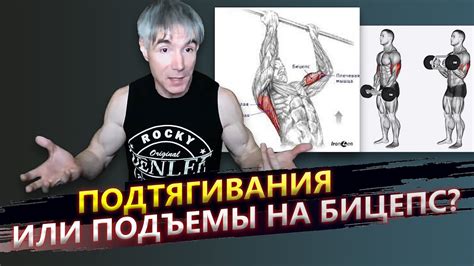 Что лучше для бицепсов: подтягивания или подъемы штанги на бицепс ...
