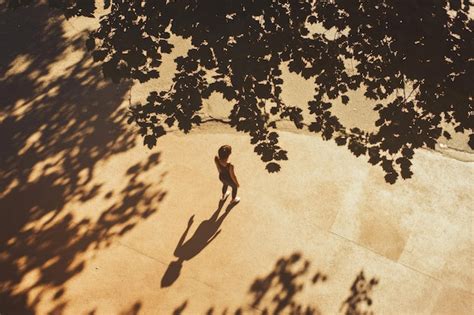 Aerial View Of A Womans Shadow Under Tree Canopy On A Sunny Day