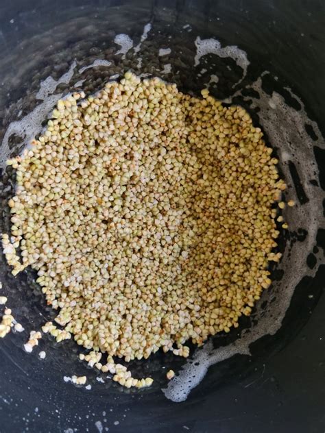 Brewing With Ceoliac Disease Page 5 Make Beer At Home Forums Brewers Friend