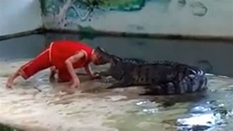 Colocó Su Cabeza Dentro De La Boca De Un Cocodrilo Y Ocurrió Lo Que No