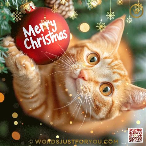 Latest Merry Christmas  Images Original