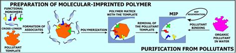 Conceptual Chart Of The Preparation Of Molecular Imprinted Polymers And