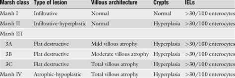 Marsh Oberhuber Classification Of Celiac Disease Download Table