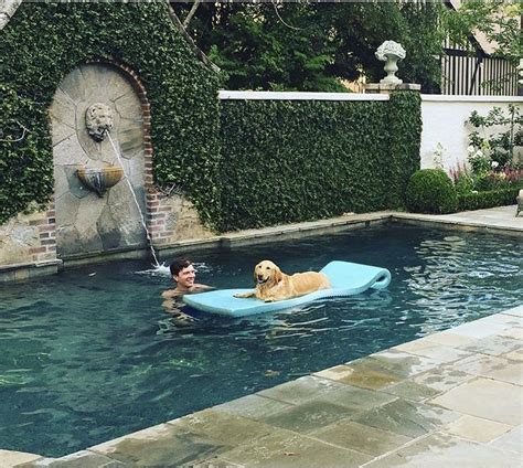 Fig Leaf Ivy Wall Behind Pool Country Pool Backyard Pool Landscaping