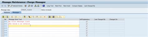 Message Class In Sap Abap Go Coding