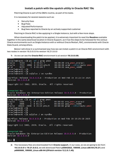 Install A Patch With The Opatch Utility In Oracle Rac 19c Pdf Information Technology Software