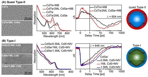 Transmission Electron Micrographs Of A Cdte And Cdte2ml Cdse And