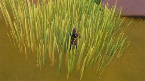 Fortnite Chapter 3 How To Hide In Stealth Grass For 10 Seconds Touch