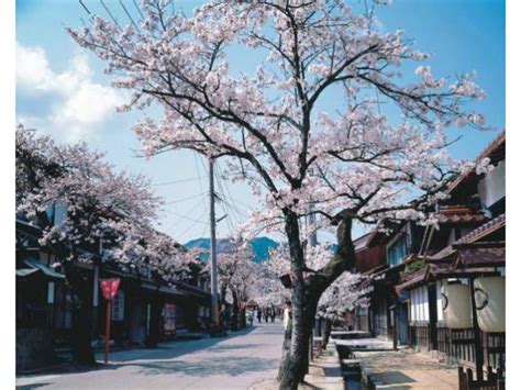 【がいせん桜まつり】アクセス・イベント情報 じゃらんnet