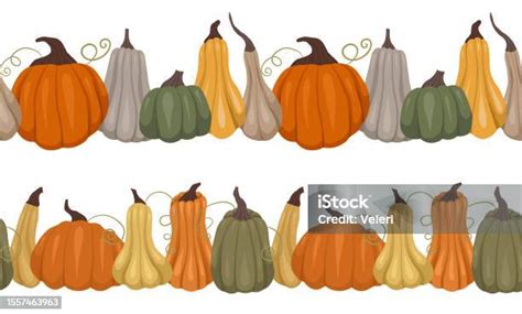 호박과 벡터 이음매 없는 테두리의 집합입니다 배경에서 격리 된 야채와 함께 가을 프리즈의 컬렉션입니다 자연 패턴 한 줄로에 대한 스톡 벡터 아트 및 기타 이미지 Istock