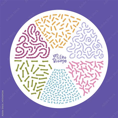 Set Of Different Types Of Good Bacterias Of Human Microbiome On Circle