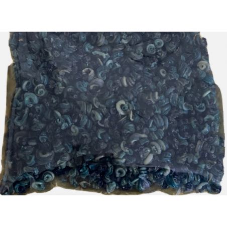 Freshly Frozen Periwinkle 200g