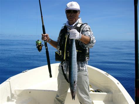 Sawara Junglekeyfr Image