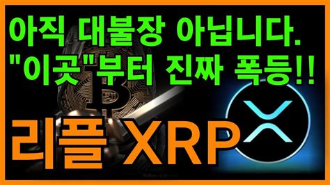 🔴리플코인 전망🔴절대 팔지 말라했죠 이곳 돌파 전 마지막 기회 잡으세요 Youtube