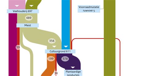 Stroomschema Voor Stikstof En Fosfor In De Landbouw 2019 Compendium