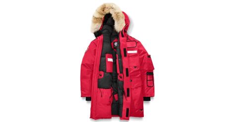 Jackets Maxim
