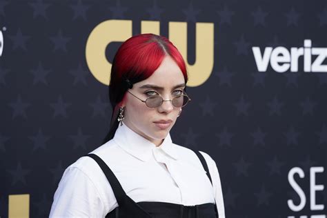Billie Eilish Pulled Into Barricade By Fans In Miami