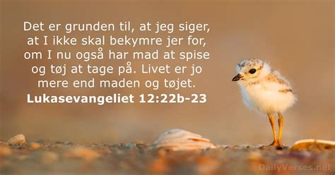 Den Maj Dagens Bibelvers Lukasevangeliet B DailyVerses Net