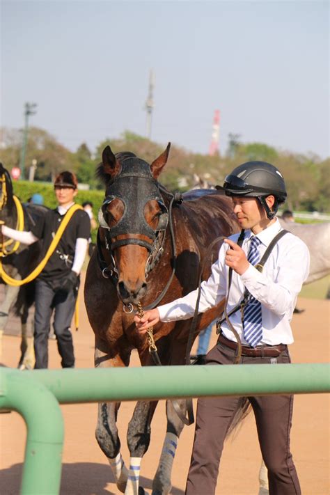 夕夏 On Twitter 中山11r 京葉ステークス スズカコテキタイ 岩田さんが先生に身振り手振りをくわえて念入りに何かを伝えてた