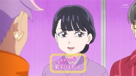 역대 프리큐어 시리즈의 애엄마들