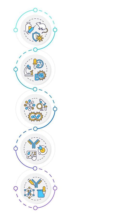 Hybridoma Technology Infographic Design Template Immunization