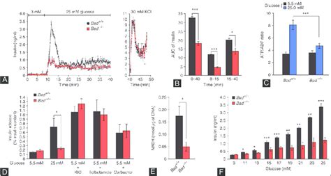Characterization Of The Insulin Secretion Defect In Bad − − Islets A Download Scientific