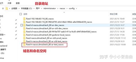 SpringBoot项目集成nacos并启动报错Failed to configure a DataSource