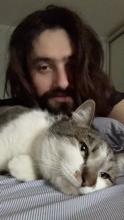 кіт Малий завжди поруч Youtube