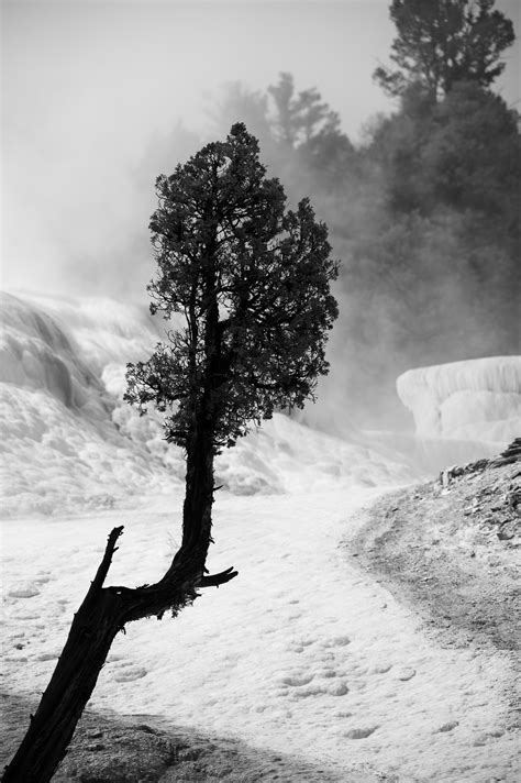 Landscape Photography With A Shallow Depth Of Field