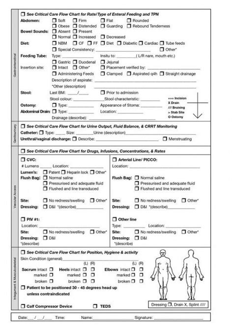 Nursing Assessment Documentation Template Awesome 9 Nursing Assessment Samples Artofit