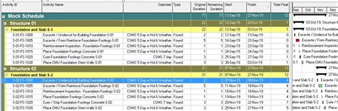 Using Activity Codes In Primavera P6
