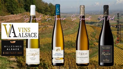 Ces Vins D Alsace Qui Menvo Tent Vinformateur