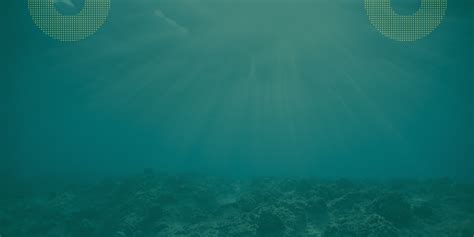 Threats To Te Taiao Wildlifeai